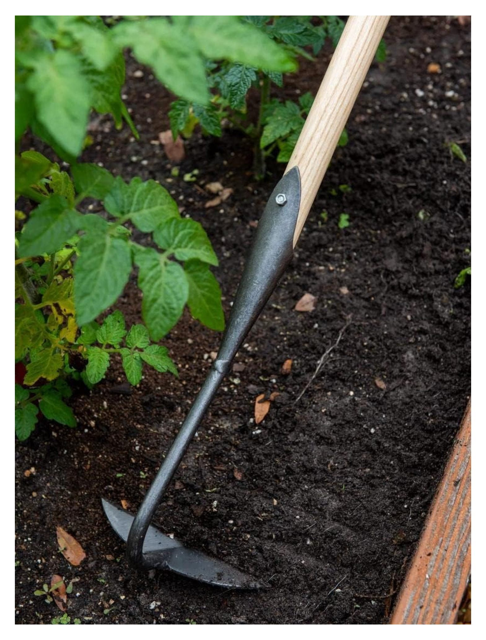 Half-Moon Hoe | Heavy Duty Forged Steel with Ergonomic Hardwood Handle ...
