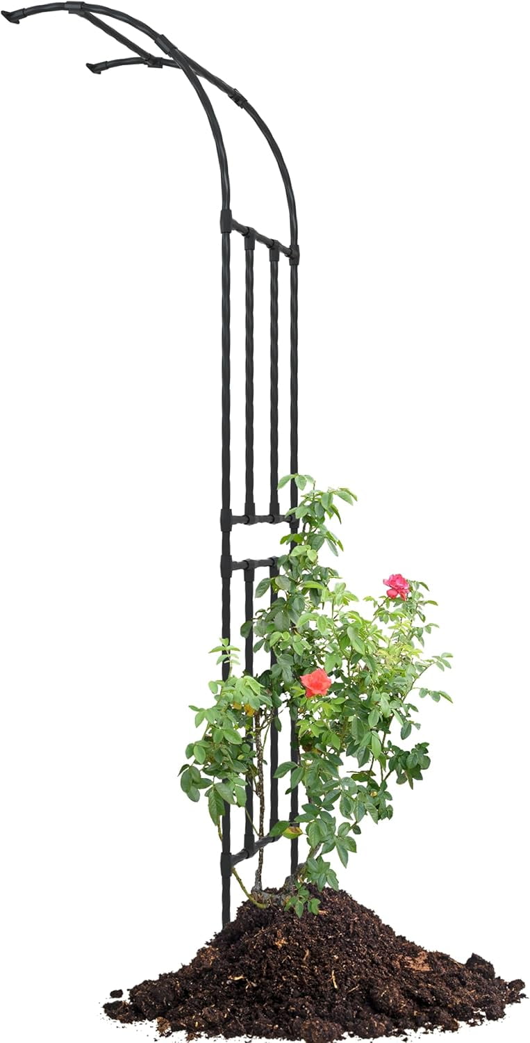 Half Sided Arch Against The Wall Garden Trellis - Garden Arch Arbor ...