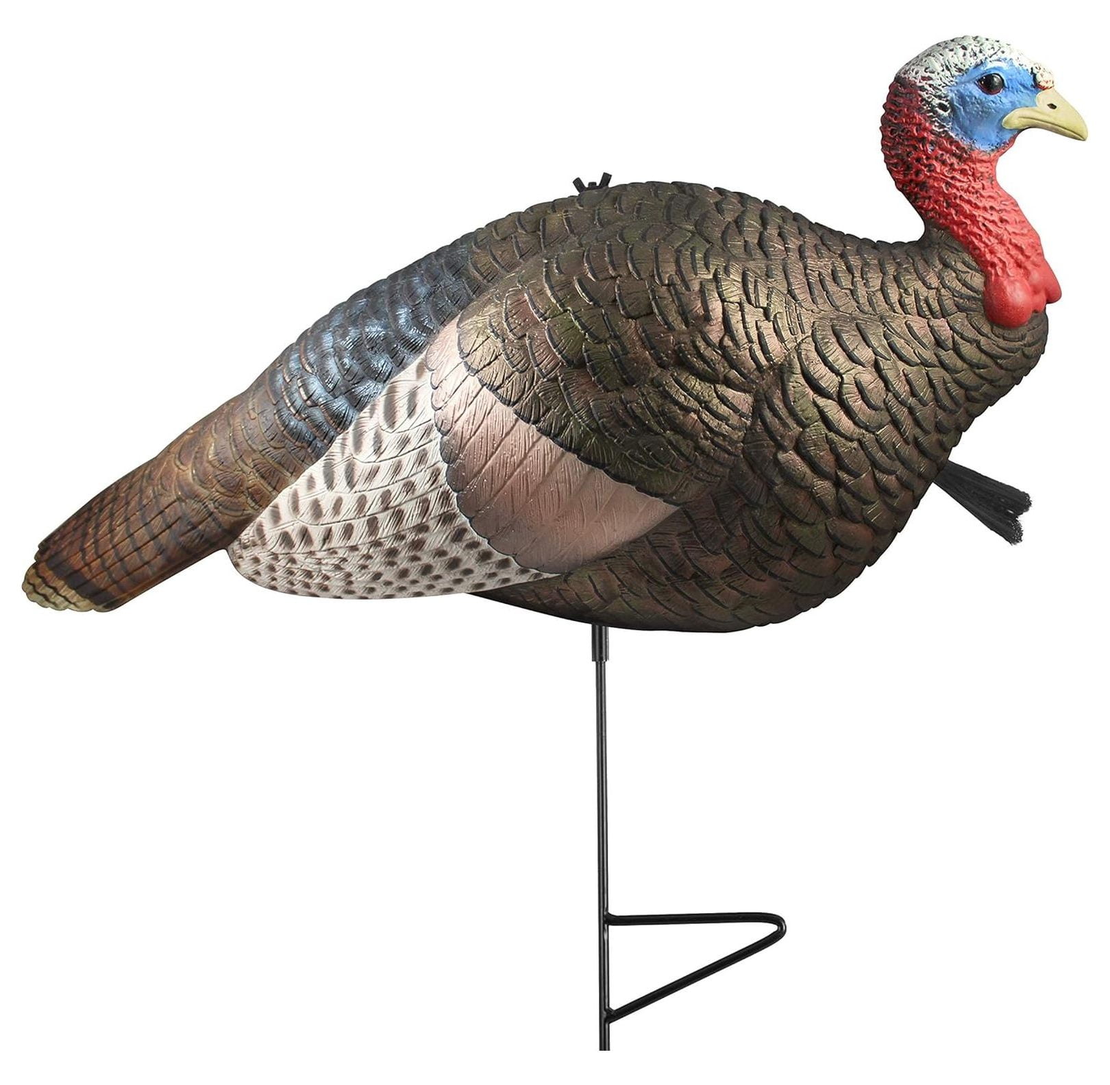 Half Strut Jake Decoy, Realistic Jake Turkey Decoy with 2-Piece Stake ...