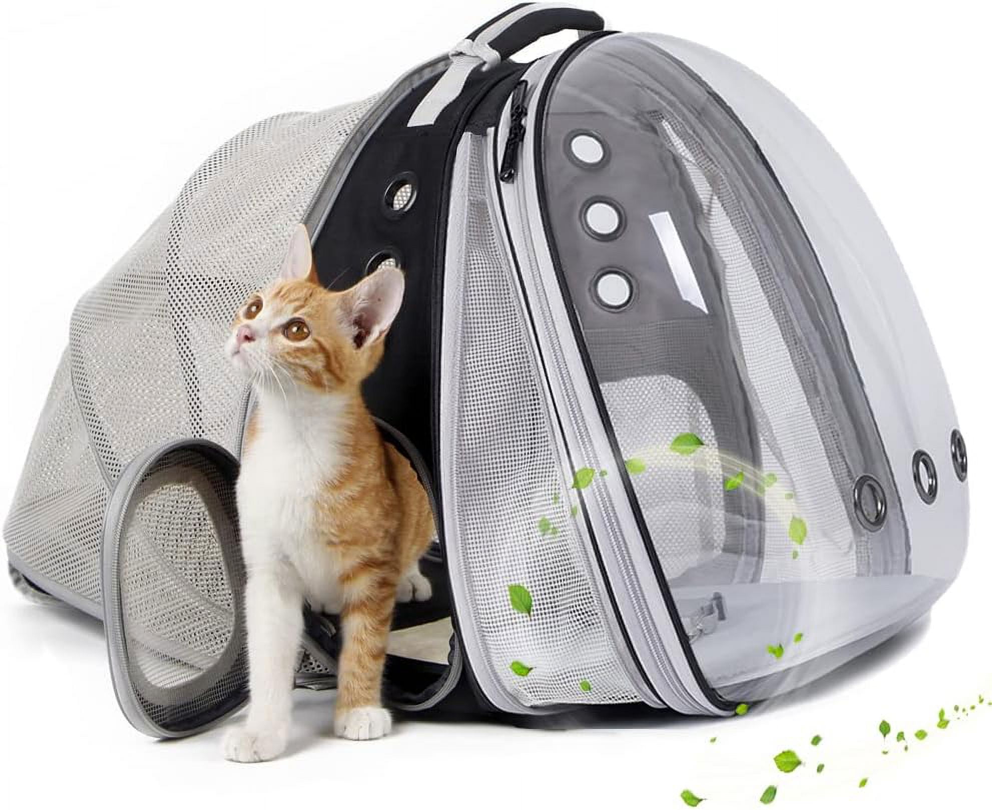 Halinfer Expandable Cat Backpack, Large Cat & Small Dog Carrier, Up to ...