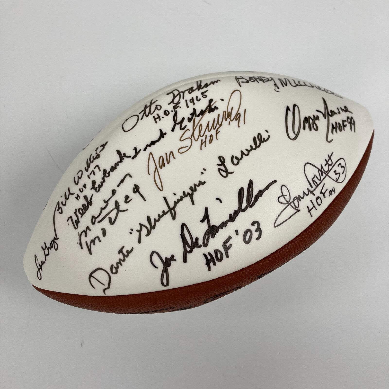 Hall Of Fame Multi Signed NFL Wilson Football 32 Signatures - Walmart.com