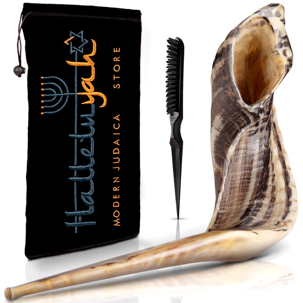 HalleluYAH Shofar Kosher Odorless Ram Horns 14"-16" From Israel ...