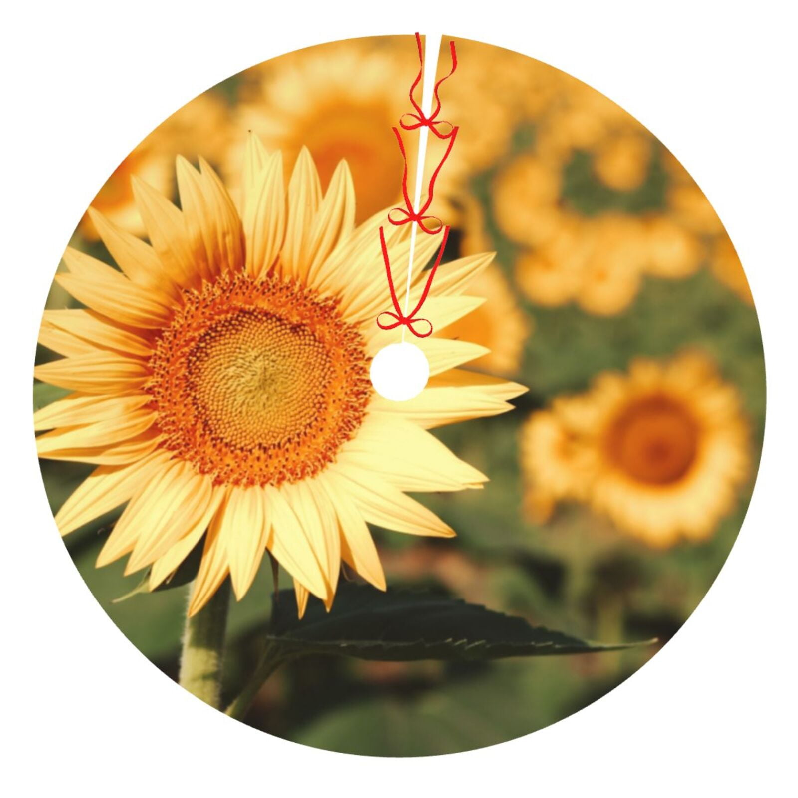 Hallmark 13" Large Batman Gift Bag with Birthday Card and Tissue Paper ...