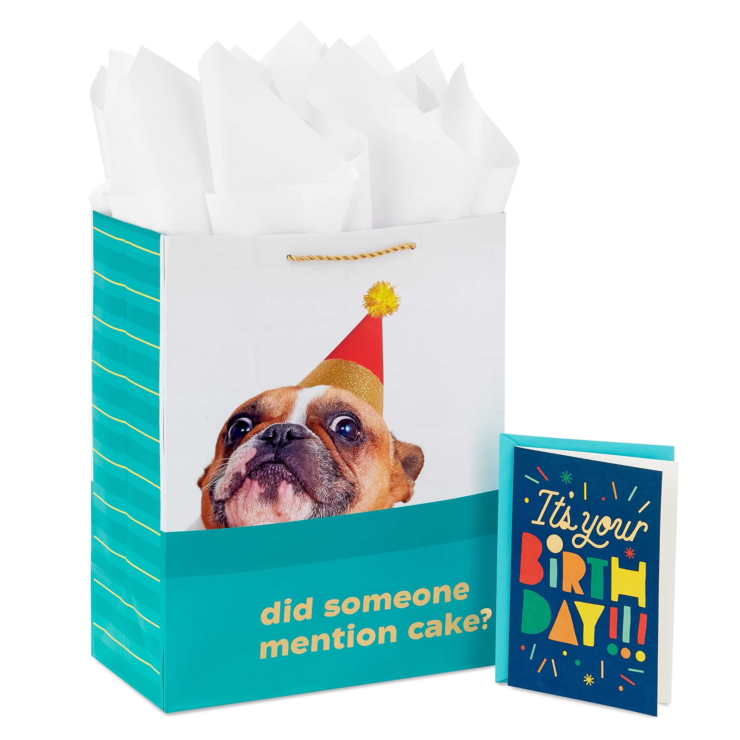 Hallmark 13" Large Birthday Gift Bag with Birthday Card and Tissue ...