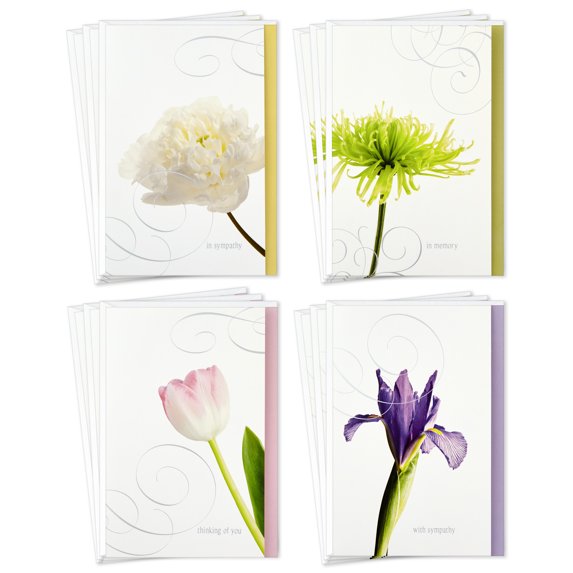 Hallmark Sympathy Card Box Pack (Flowers, 12 Cards with Messages and ...