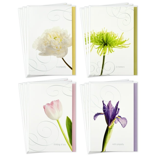Hallmark Sympathy Card Box Pack (Flowers, 12 Cards with Messages and ...