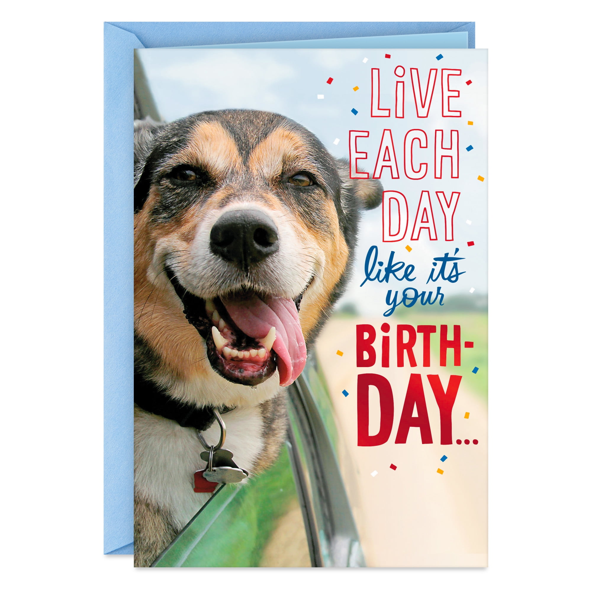 Hallmark Birthday Card (Relax, Have Fun and Enjoy The Ride) - Walmart.com