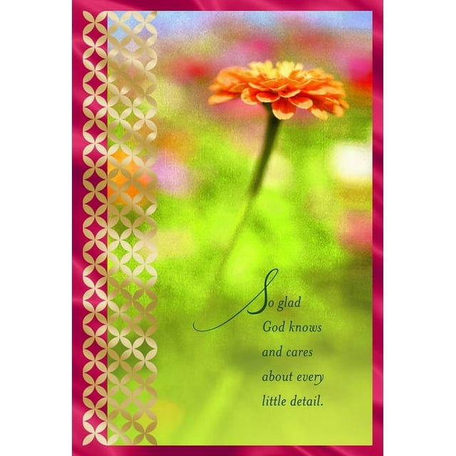 Hallmark Care and Concern Greeting Card - Walmart.com