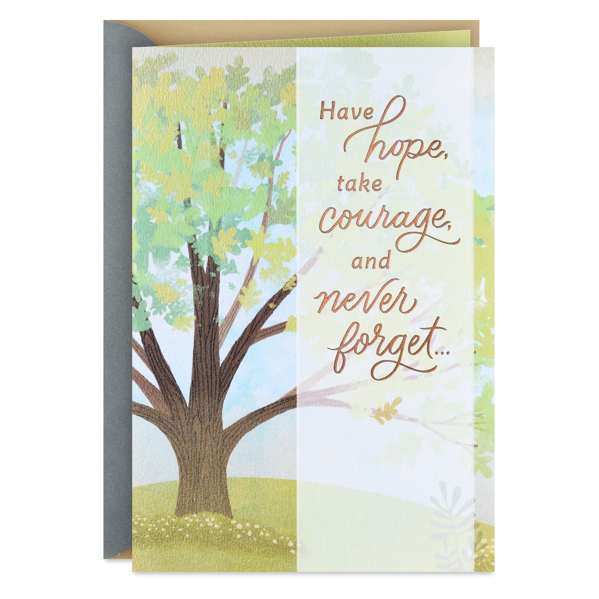 Hallmark Encouragement Card (Have Hope, Take Courage) - Walmart.com