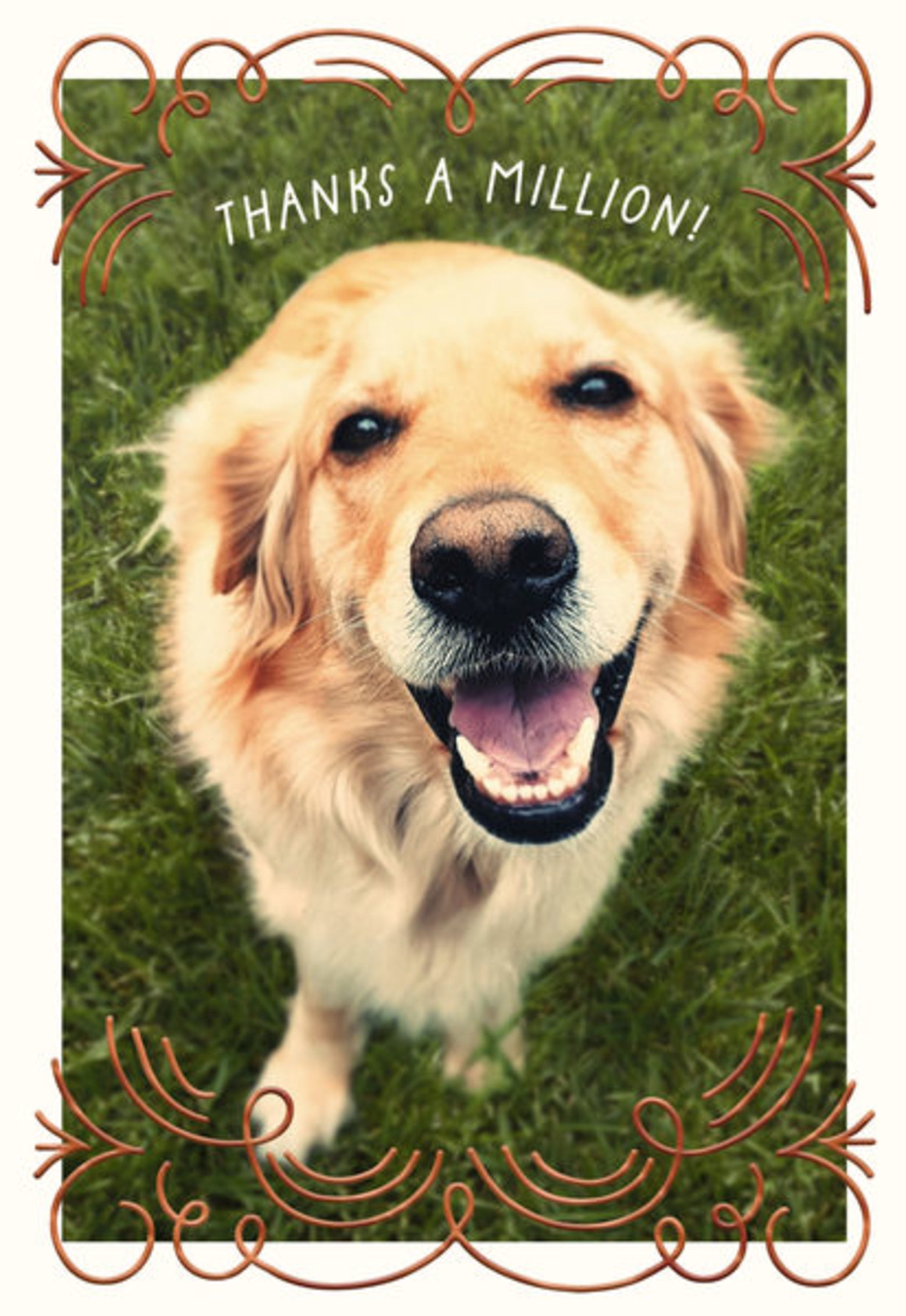 Hallmark Everyday Card - Walmart.com