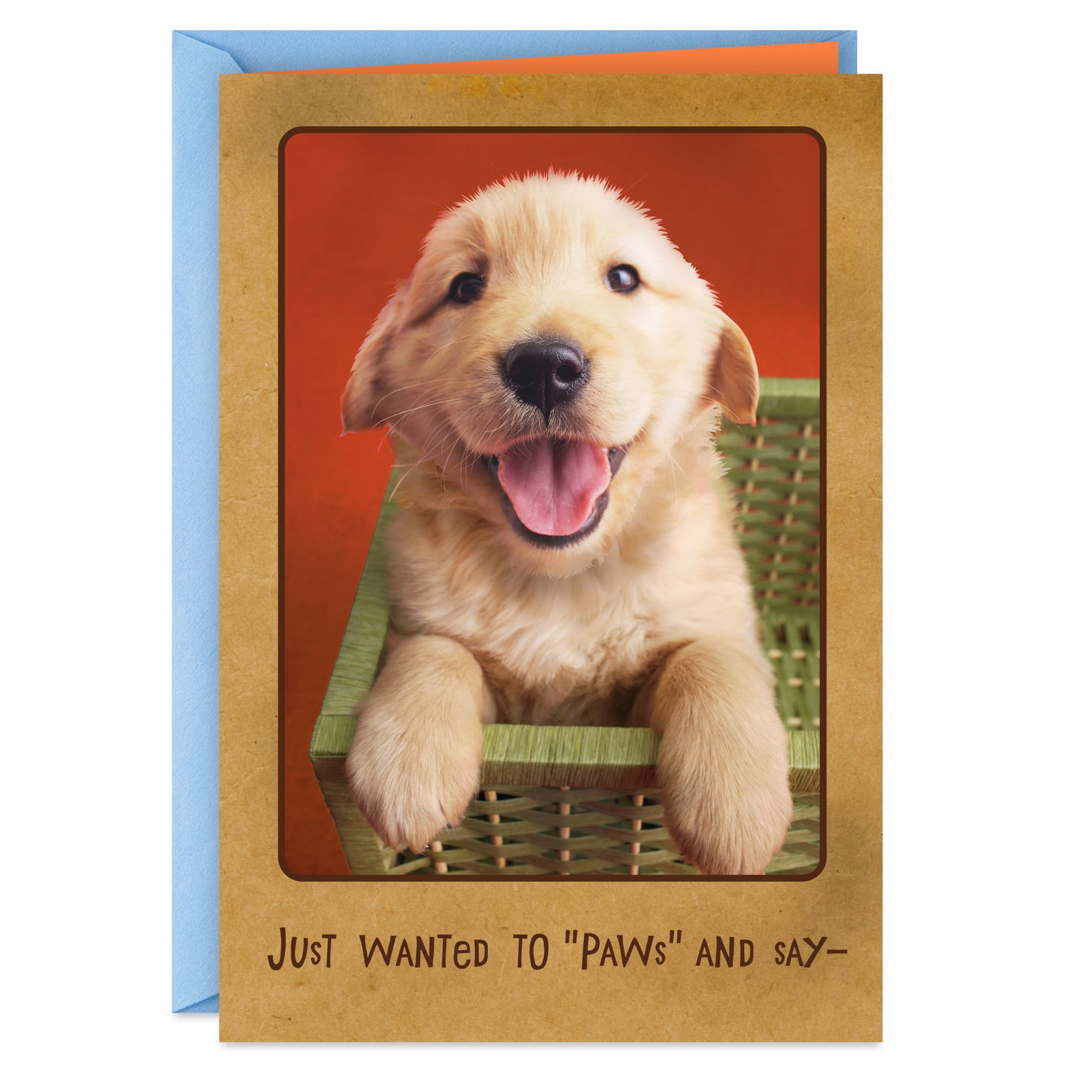 Hallmark Father's Day Card ("Paws" and Have a Great Day) - Walmart.com