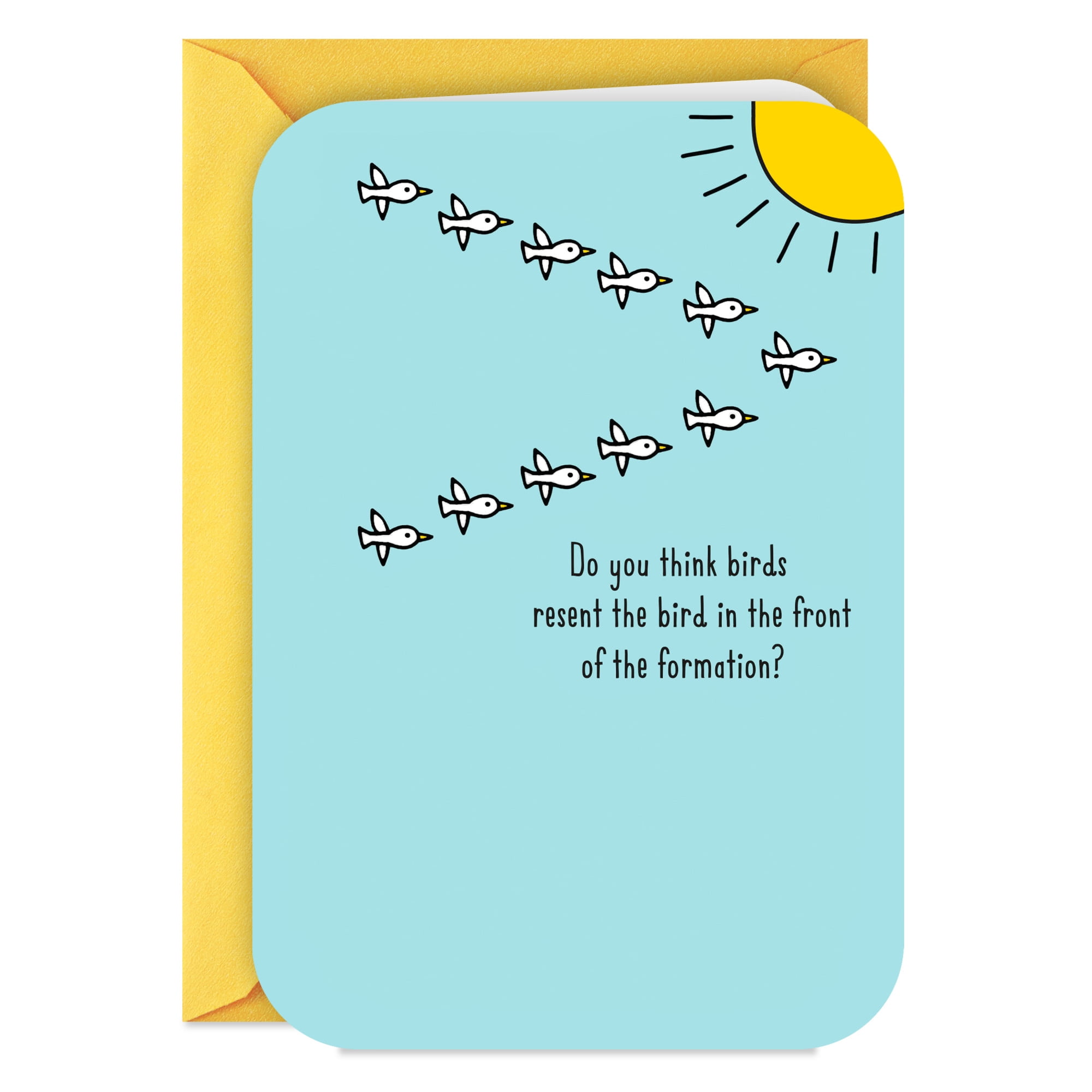 Hallmark Funny Birthday Card (Birds Flying in Formation) - Walmart.com