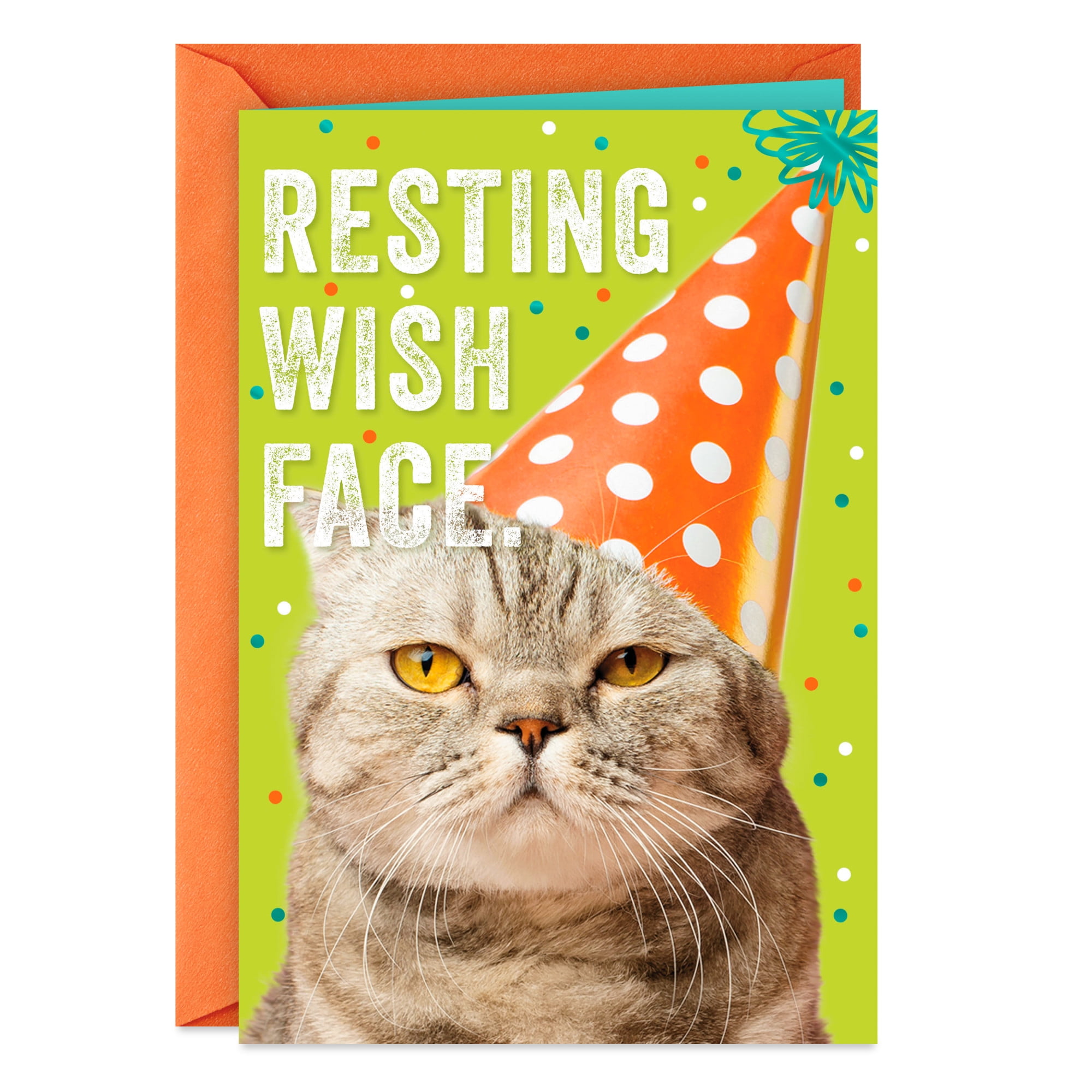 Hallmark Funny Birthday Card (Resting Wish Face) - Walmart.com