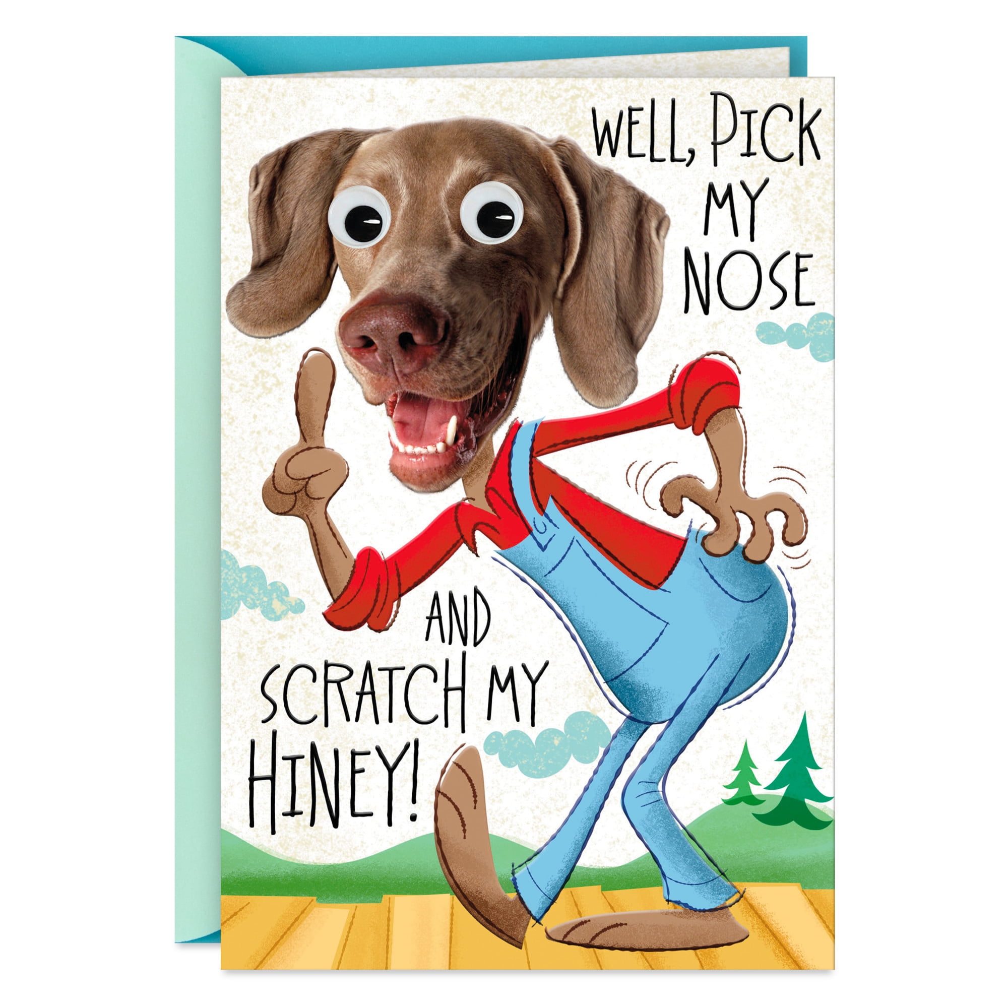 Hallmark Funny Birthday Card for Nephew (Nose and Hiney) - Walmart.com