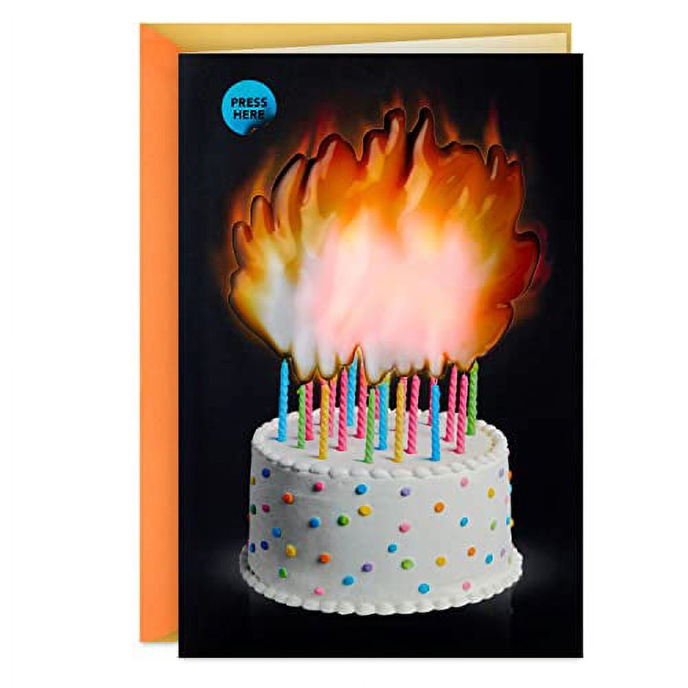 Hallmark Funny Birthday Card With Light And Sound Birthday Cake Fire