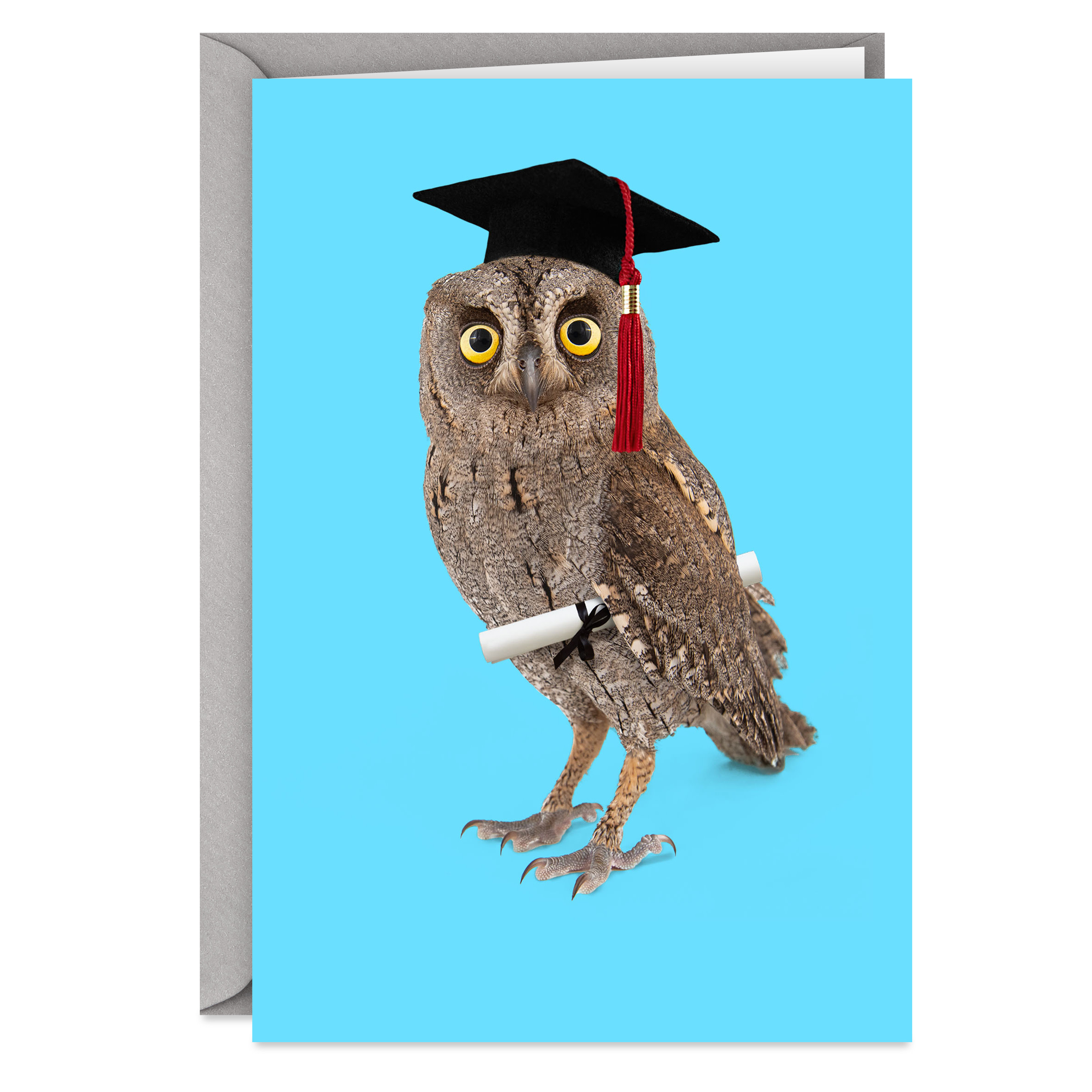 Nobleworks Real World Funny / Humorous Tom Cheney Graduation ...