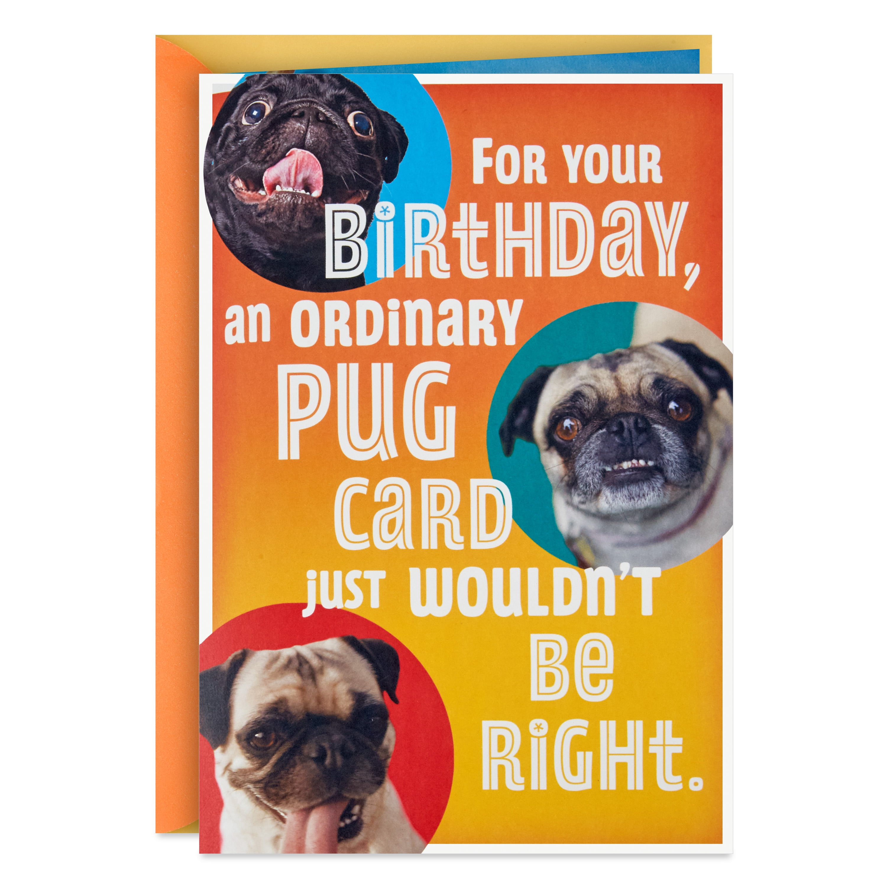 Funny Pug Birthday Cards