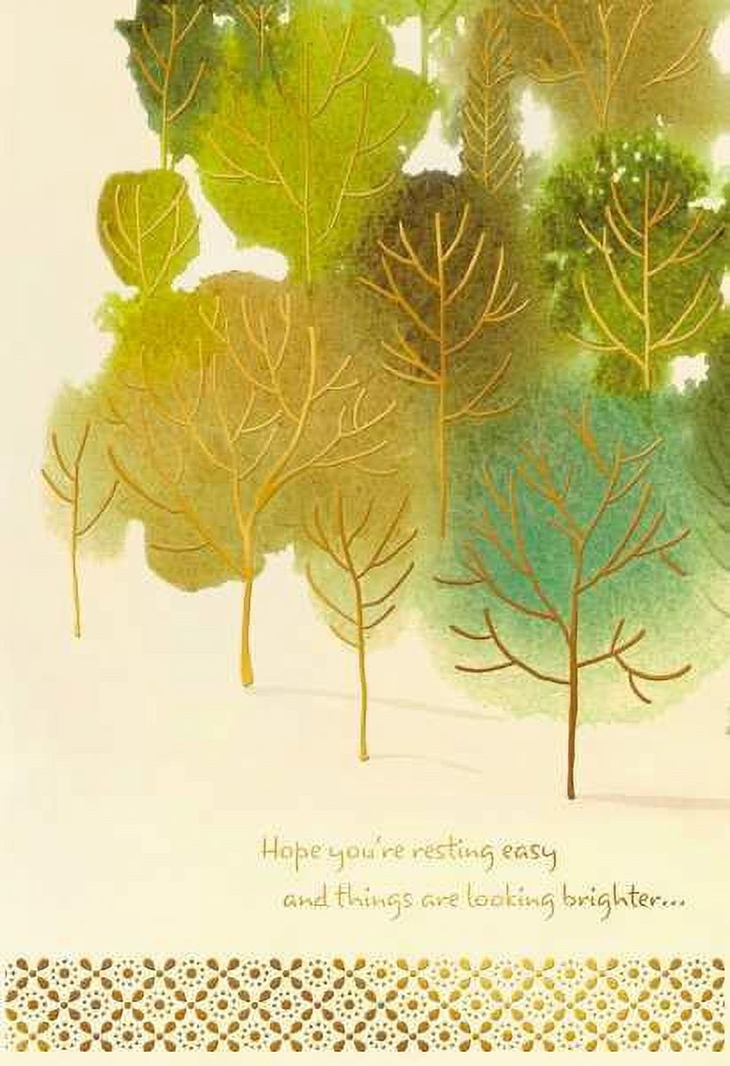 Hallmark Get Well Greeting Card - Walmart.com