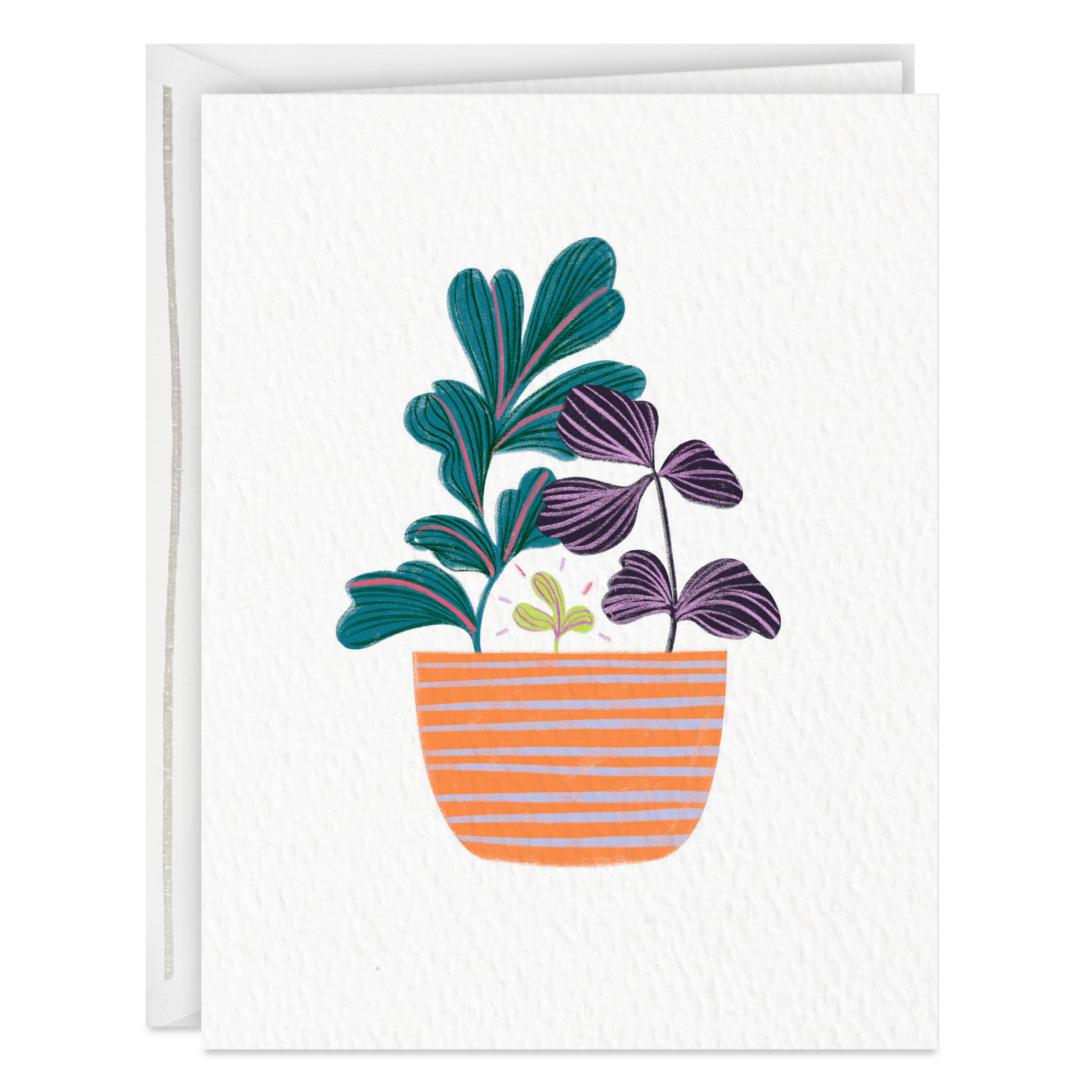 Hallmark Good Mail New Baby Greeting Card (New Little Sprout) - Walmart.com