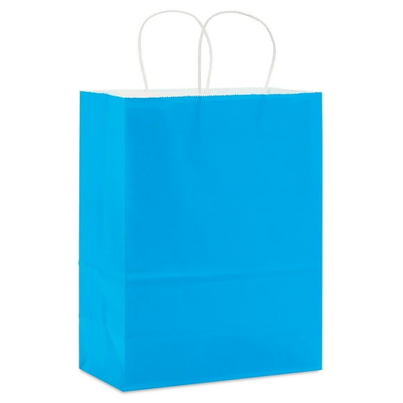 Large Gift Bags