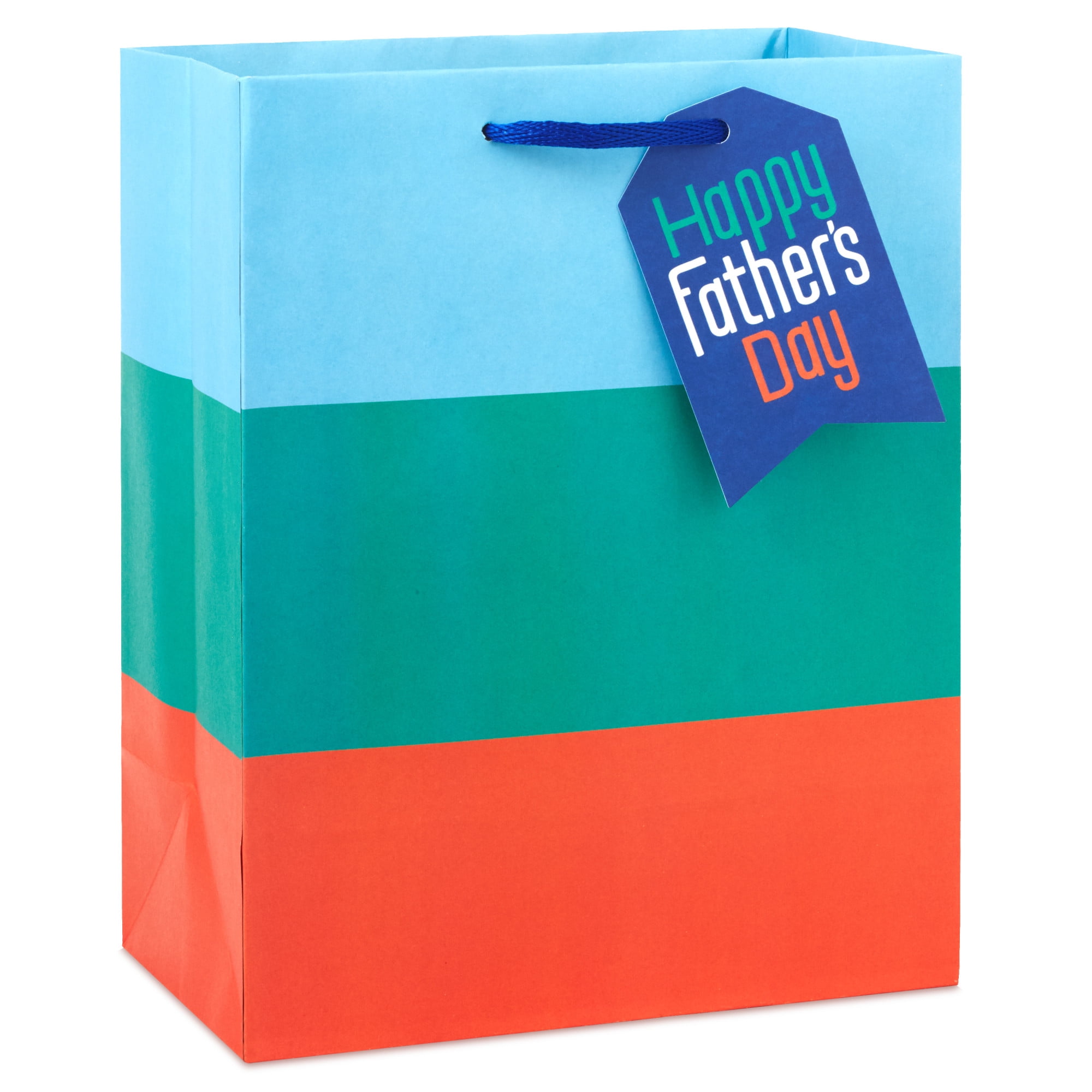 Hallmark Medium Father's Day Gift Bag (Bold Stripes) - Walmart.com