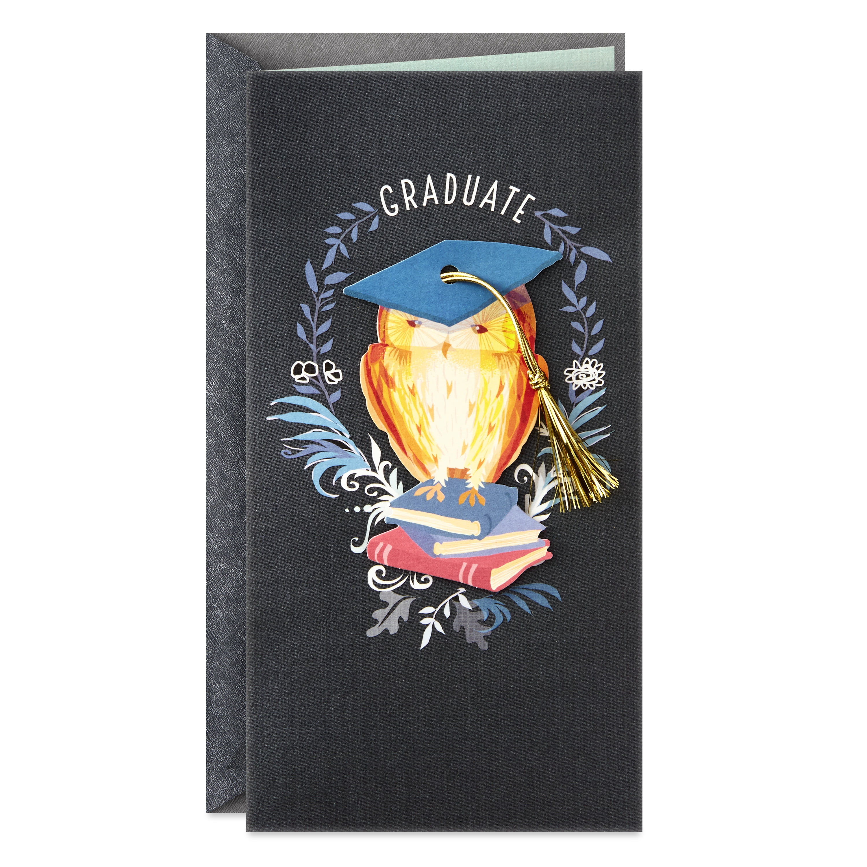 Hallmark Money Holder Graduation Greeting Card (Wisdom, Confidence and ...