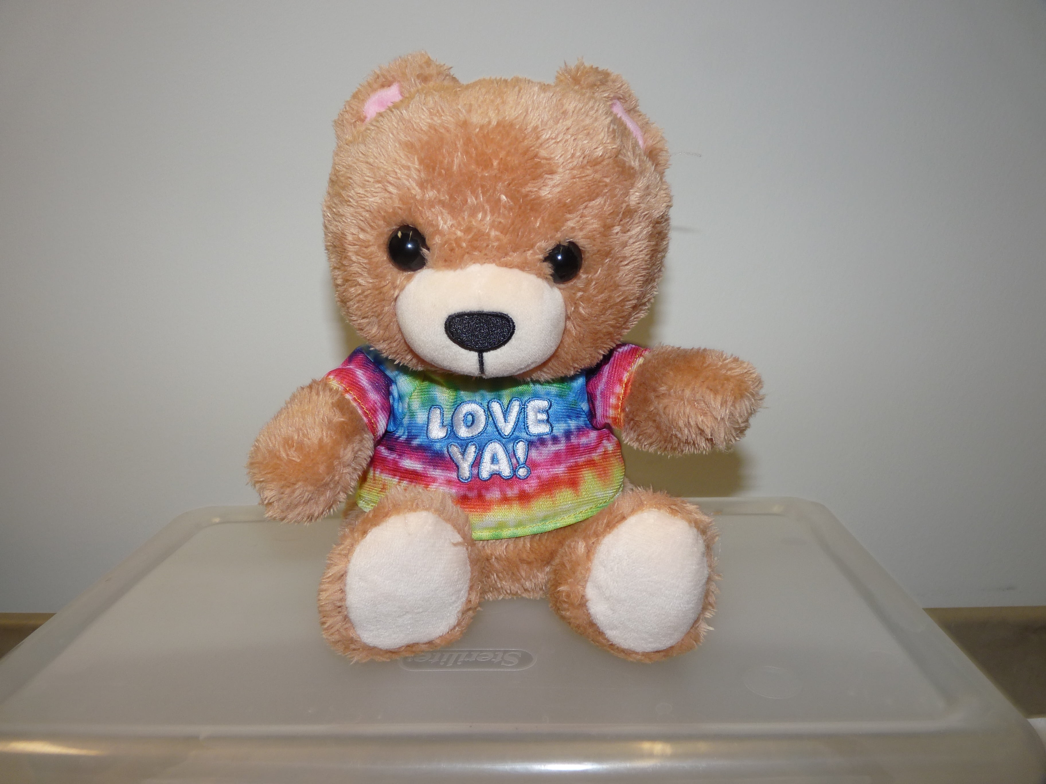 Hallmark Plush Summer Bear - Walmart.com