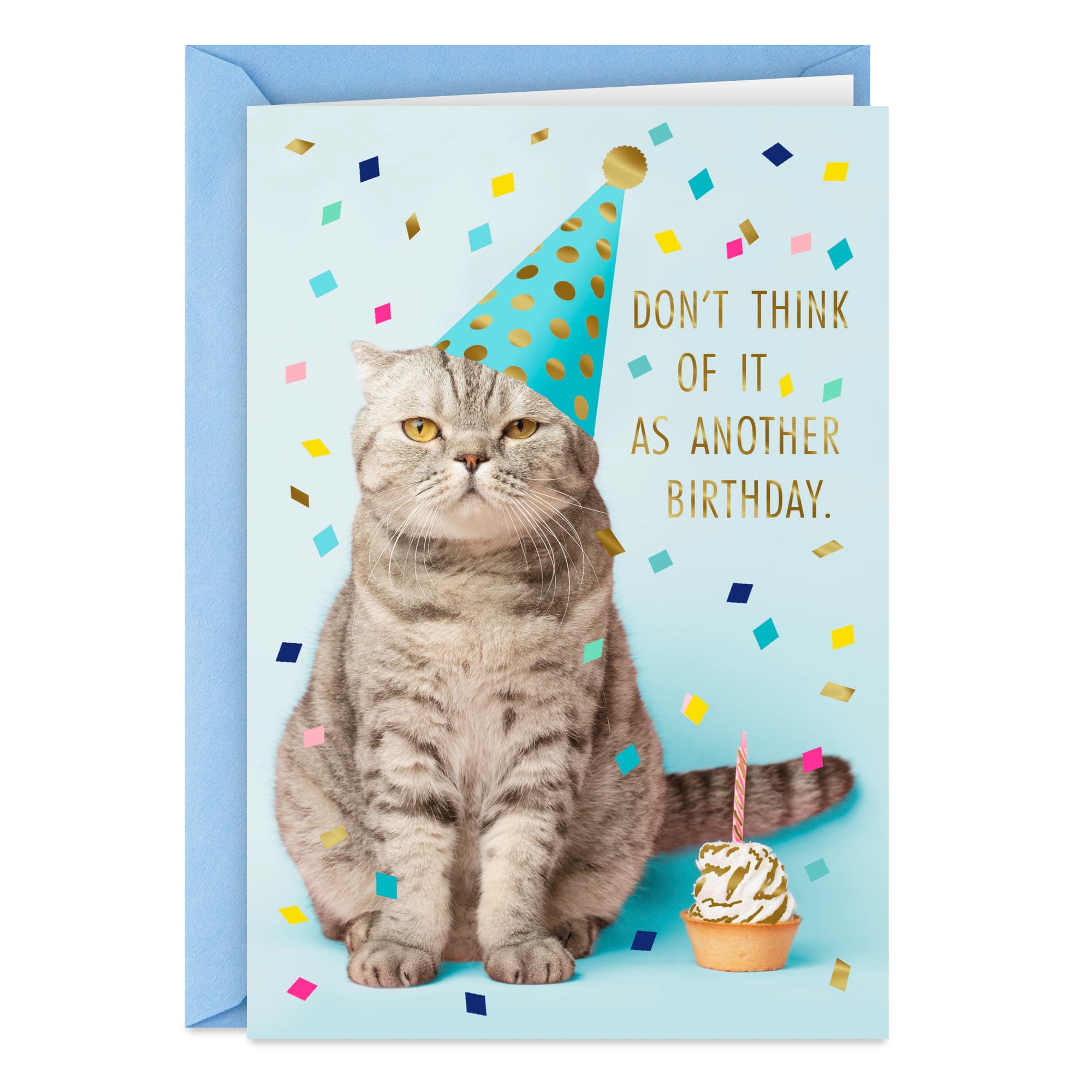 Hallmark Shoebox Funny Birthday Card (Gracing the World With Your ...