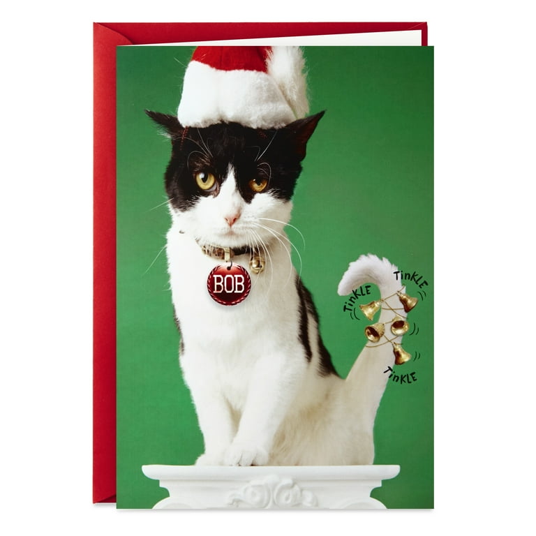 Funny Cat Family Christmas Cards