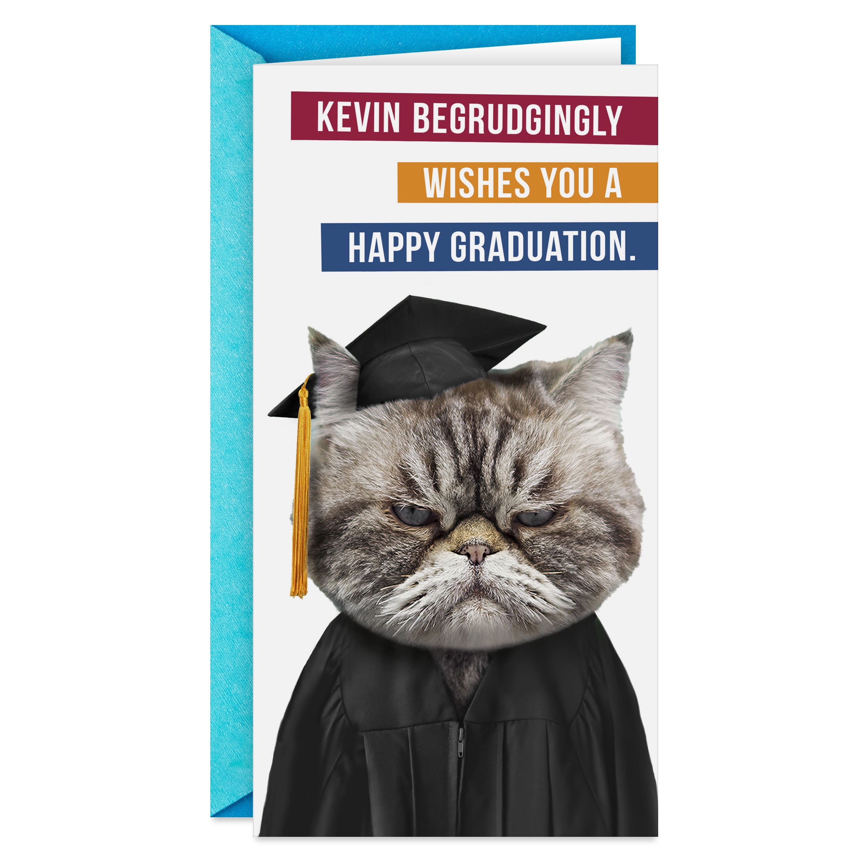 Hallmark Shoebox Funny Money Holder Graduation Card (Grumpy Cat ...