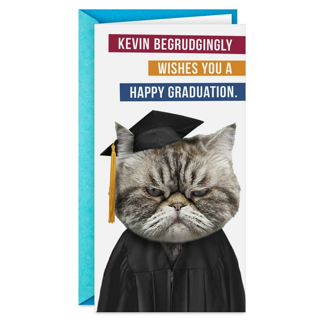 Hallmark Shoebox Funny Money Holder Graduation Card (Grumpy Cat Congratulations) - Walmart.com