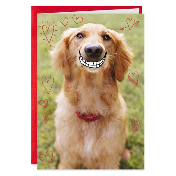 Hallmark Shoebox Funny Valentines Day Card (Smiling Dog) - Walmart.com