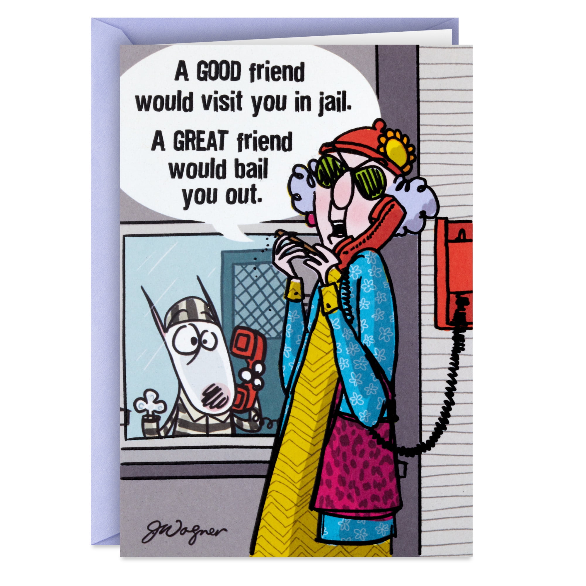 Hallmark Shoebox Maxine Funny Friendship Card (A Great Friend ...