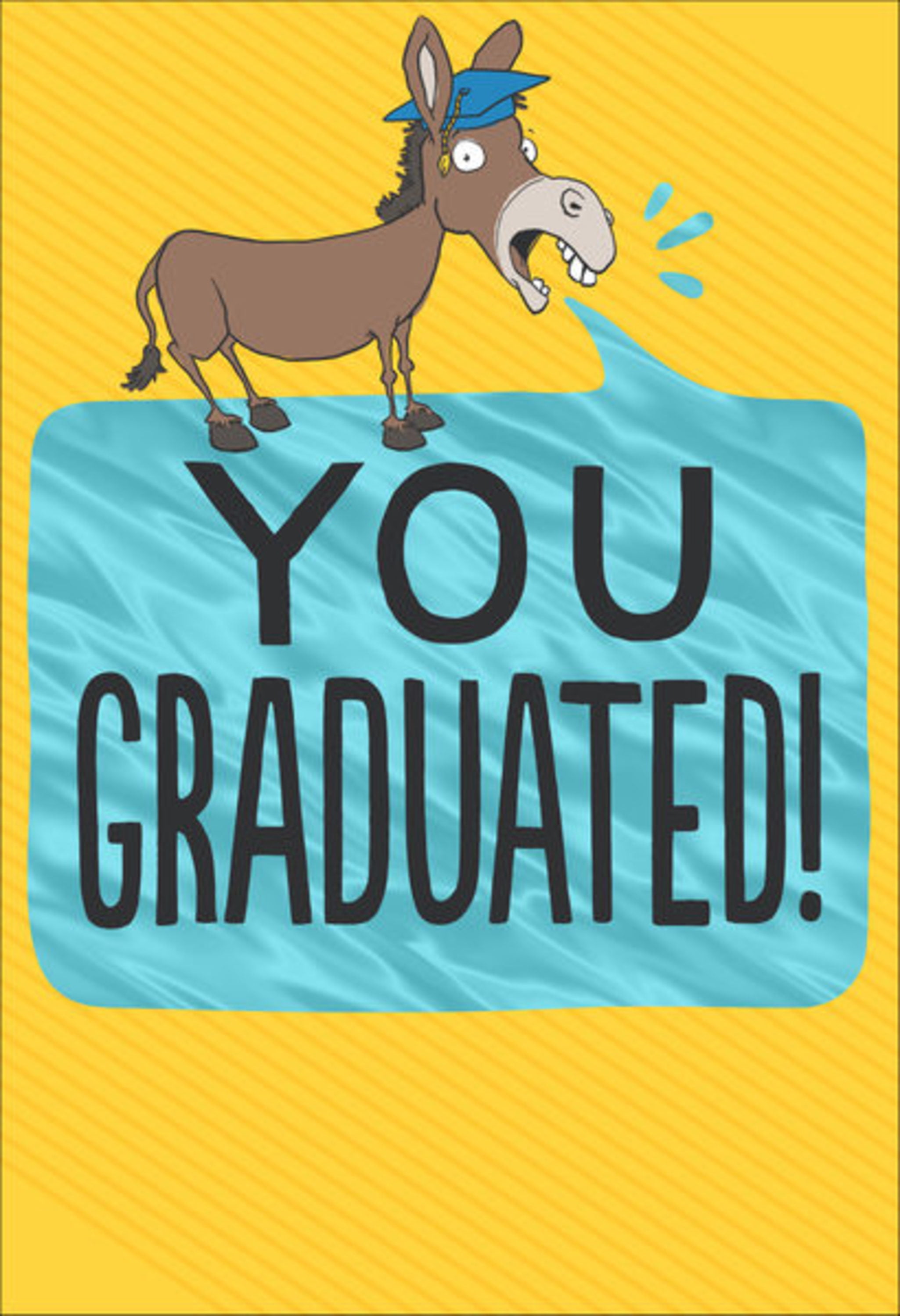 Hallmark Sound & Light Graduation Card for Anyone - Grad Grad Dnky ...