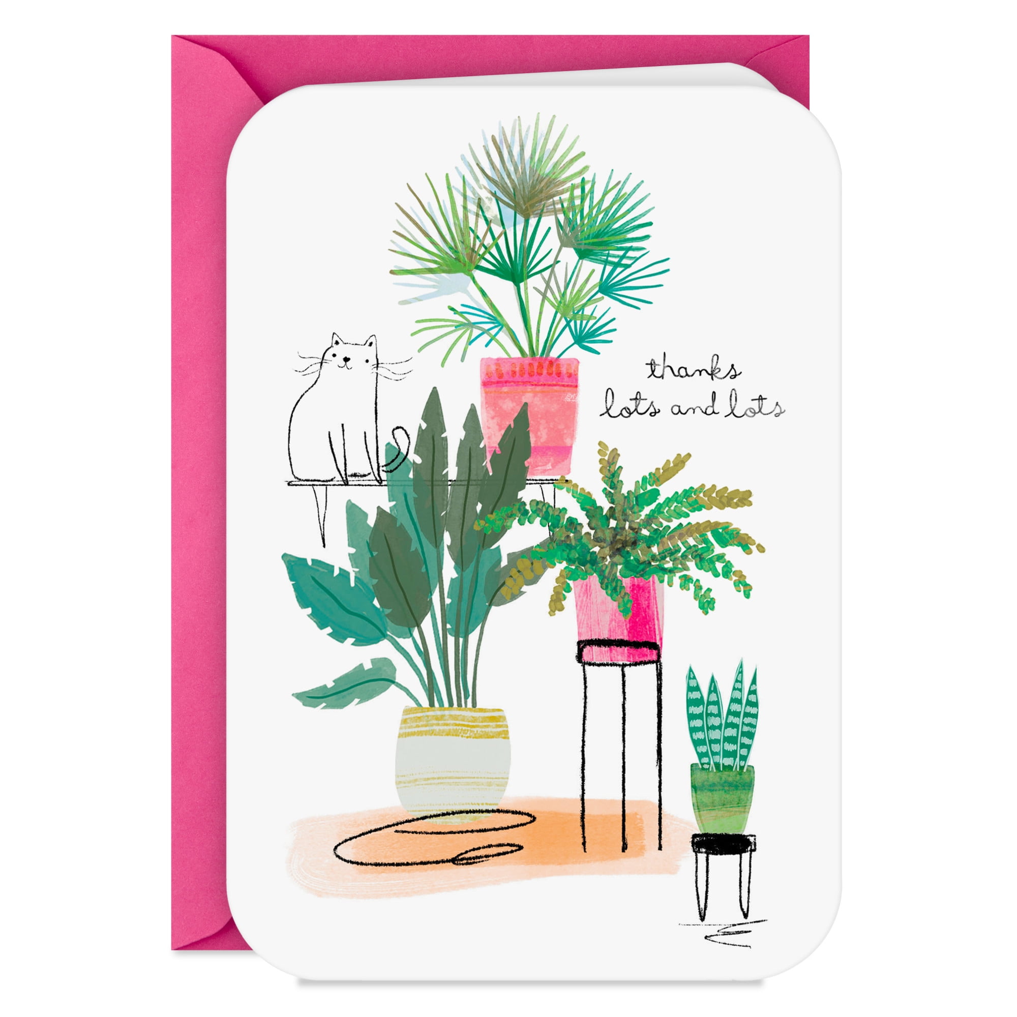 Hallmark Thank You Card (Very Nice of You) - Walmart.com