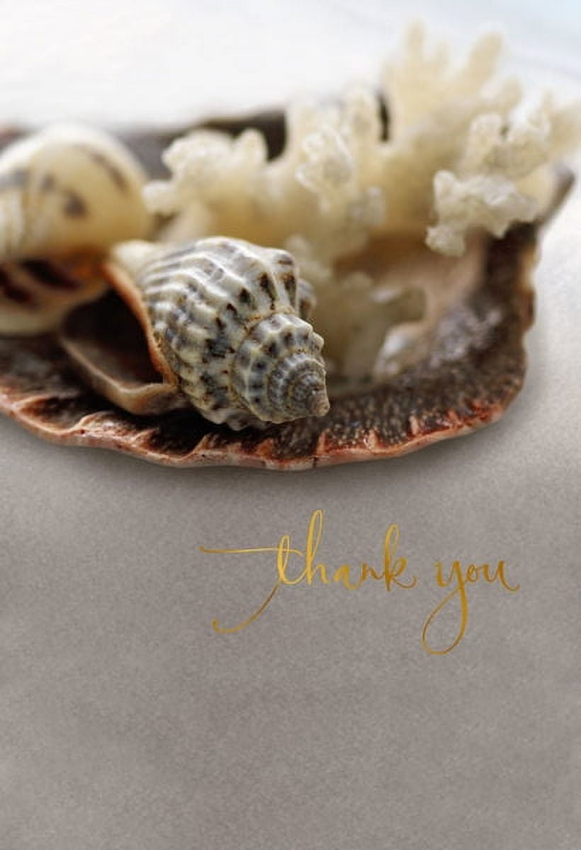 Hallmark Thank You Greeting Card - Walmart.com