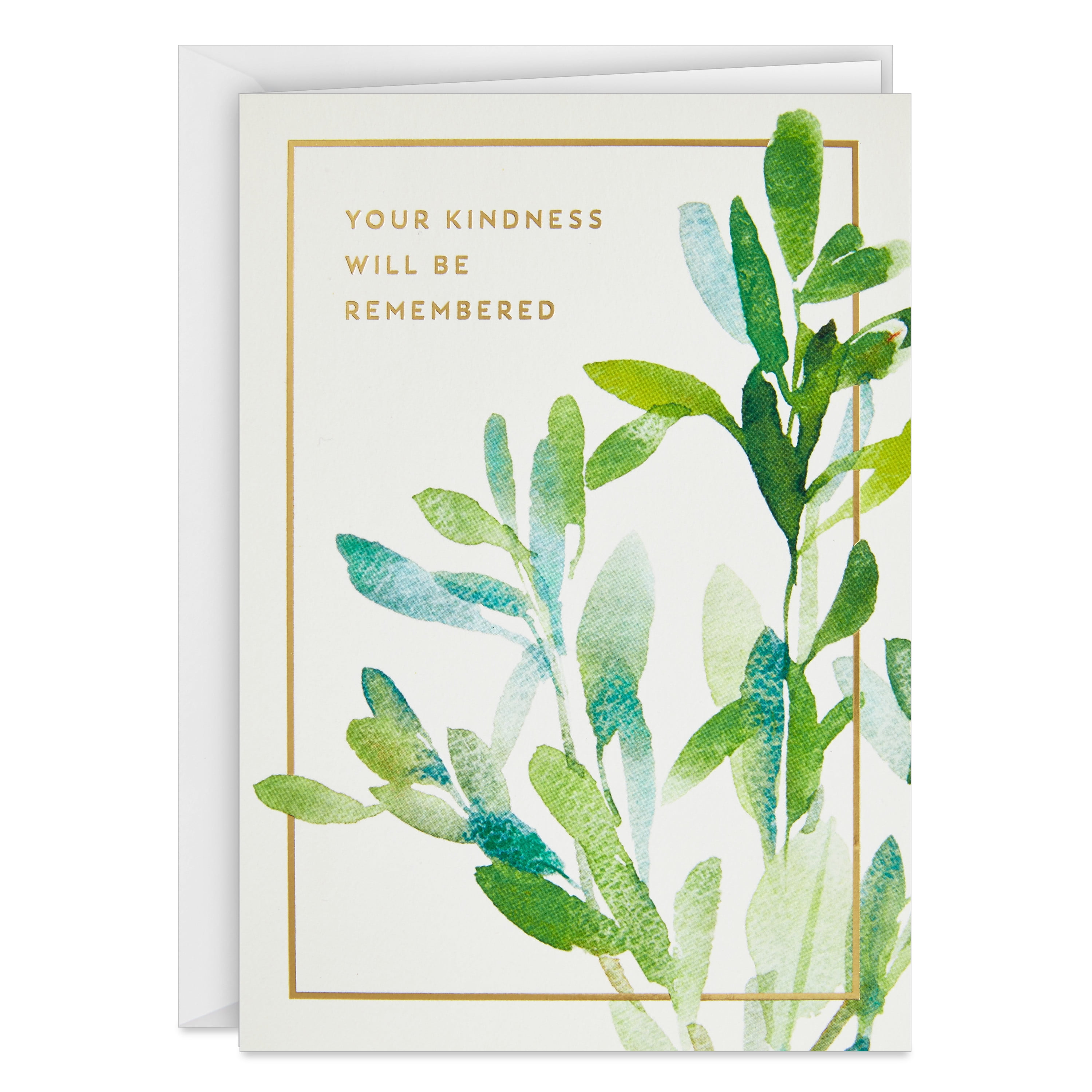 Hallmark Thank-You Notes (Green Watercolor), 24 ct. - Walmart.com