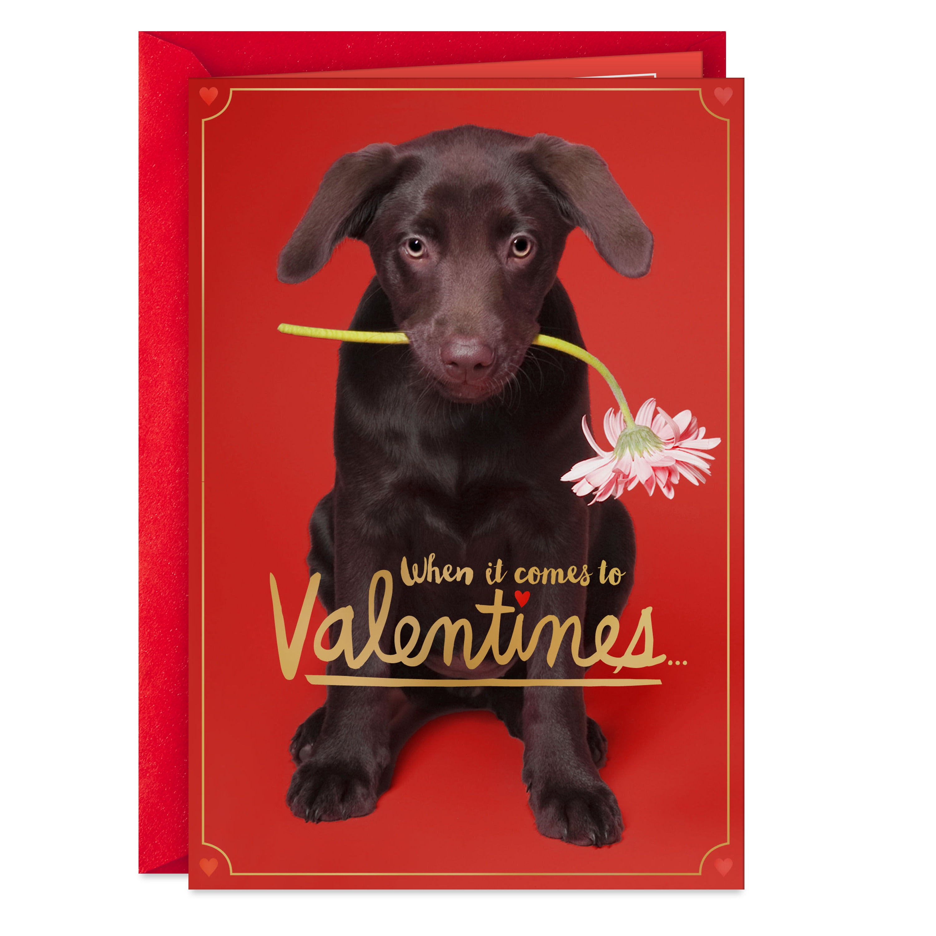 Hallmark Valentine's Day Card (I Chews You) - Walmart.com