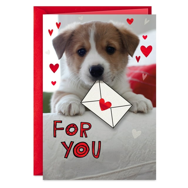 Hallmark Valentine's Day Greeting Card (Cute Puppy Dog) - Walmart.com