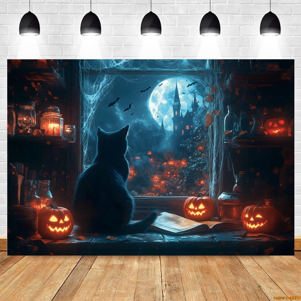 Hallowe Mystery Laboratory Backdrop Night Moon Reagt Bottles Black Cat ...