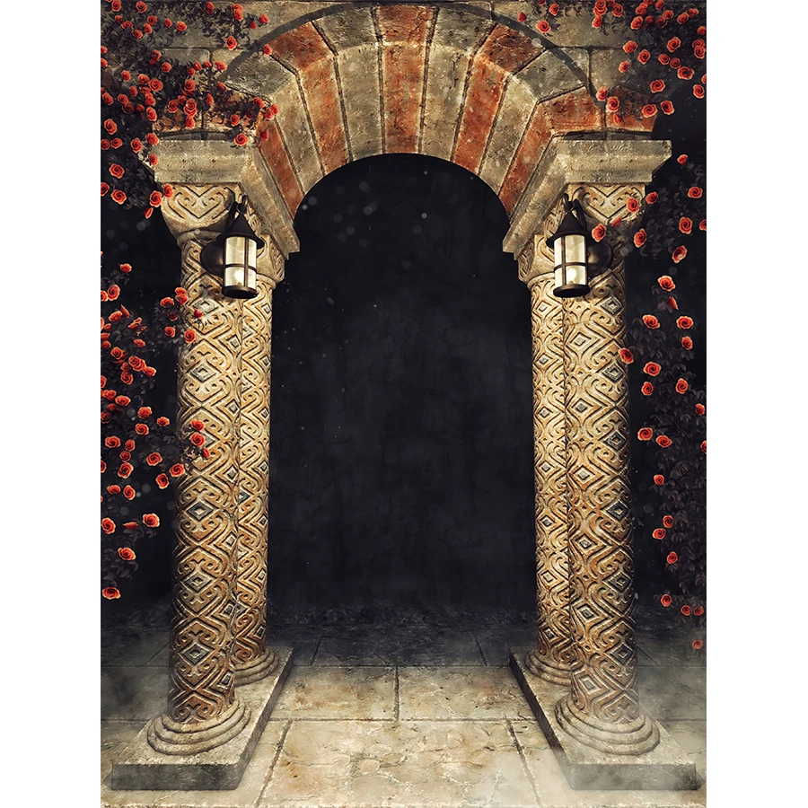 Hallowe Photographi Backdrop Fantasy Magic Gothic Style Door Vinyl ...