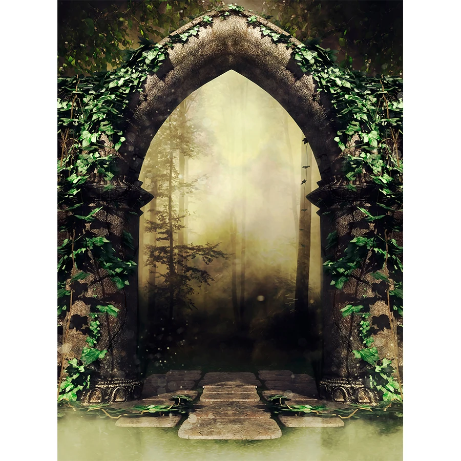 Hallowe Photographi Backdrop Fantasy Magic Gothic Style Door Vinyl ...