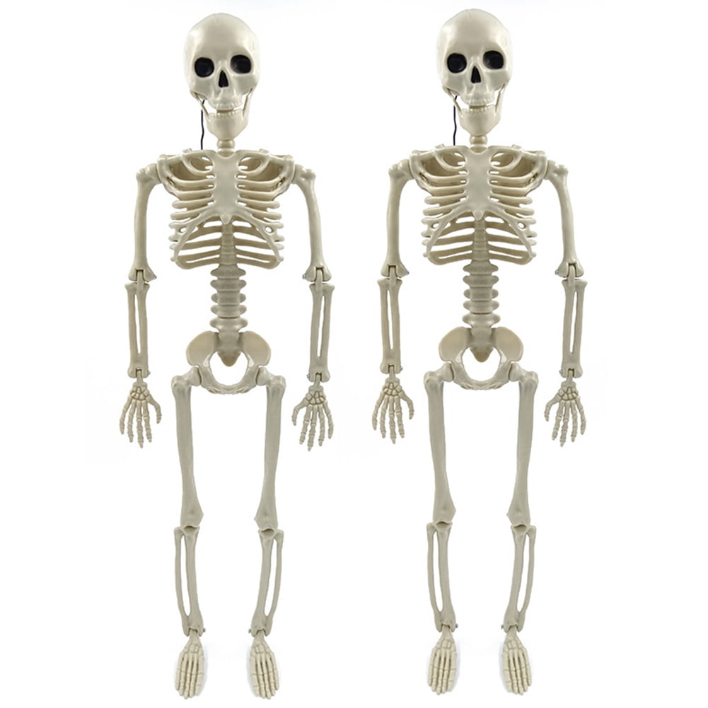 Halloween 16-inch full-body simulated human skeleton plastic skeleton ...