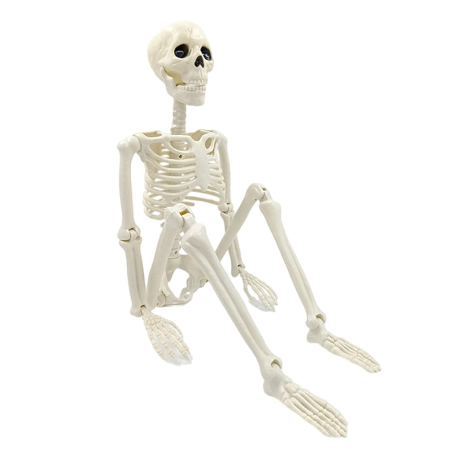 Halloween 3 ft / 90cm Plastic Skeleton, 1/2 Life Size Skeleton Human ...