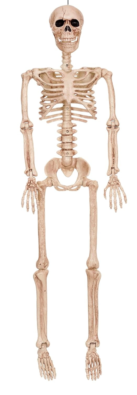 Halloween 41" Posable Halloween Skeleton, Life-Size Indoor & Outdoor ...