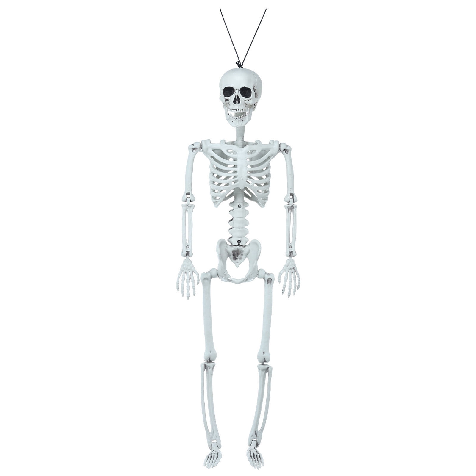 Halloween 66.9in/170cm Big Life Size Skeleton Bone Decoration - Hanging ...