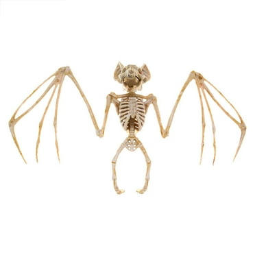 Official Crazybonez Faux Bat Skeleton - Walmart.com