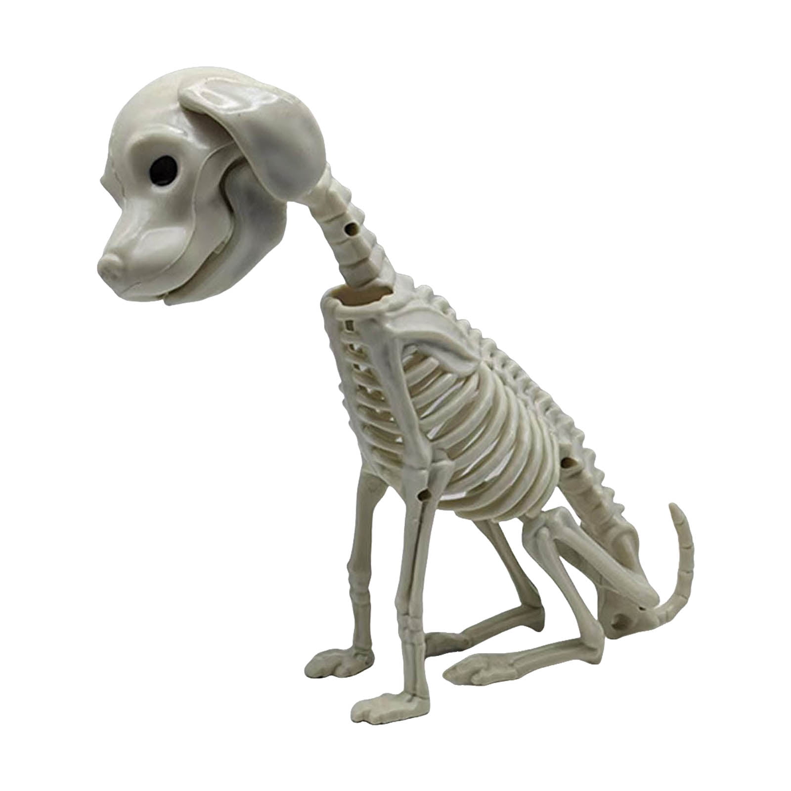 Halloween Animal Skeletons Dog Bat Scorpion Spider Snake Rat Bone ...