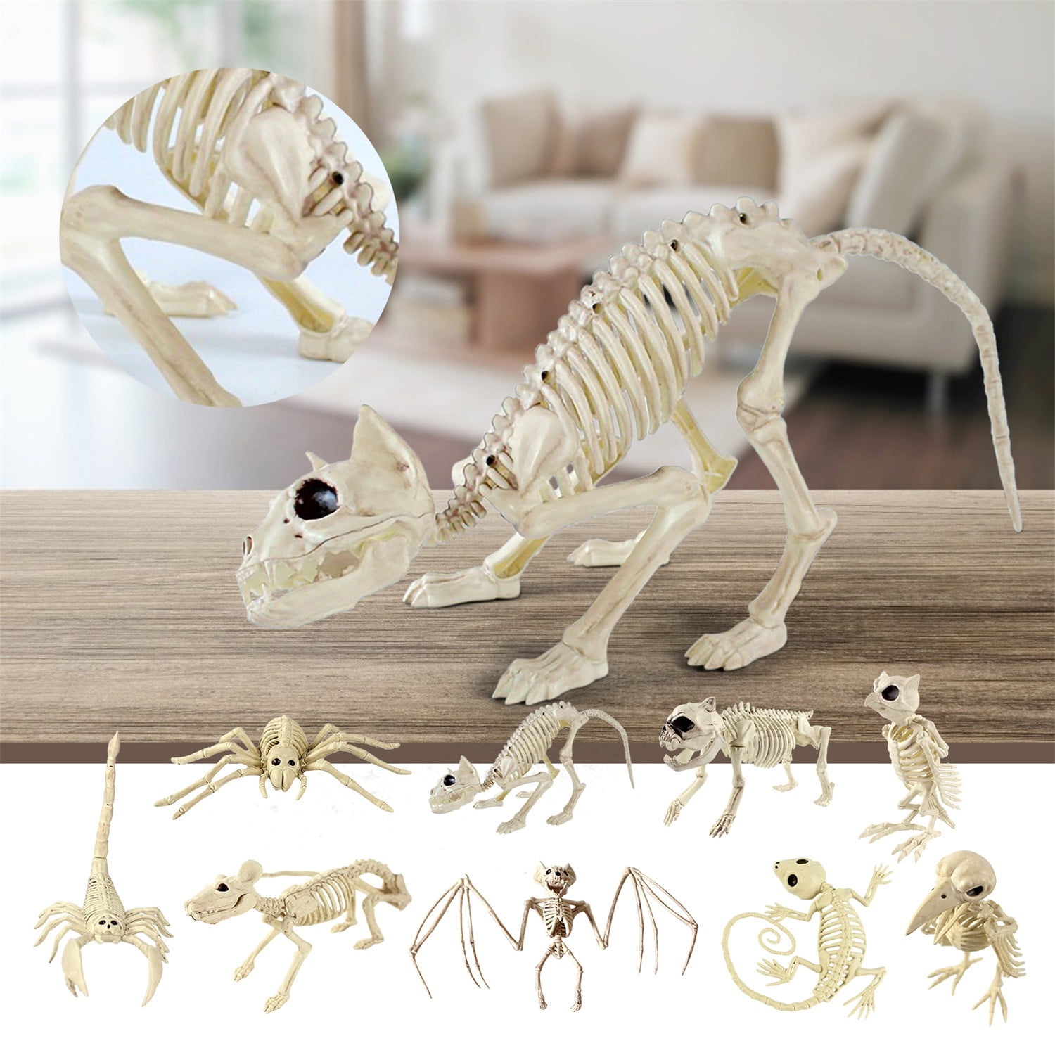 Halloween Animals Skeletons Decoration, Bats Birds Rats Spider Skull ...
