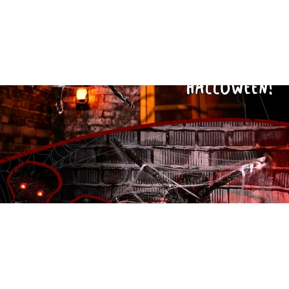 Motion Activated Spider